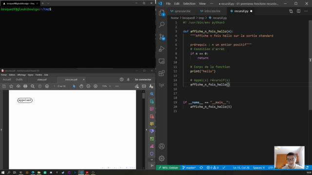 POD - [Ensimag] Bpi - Introduction À La Récursivité