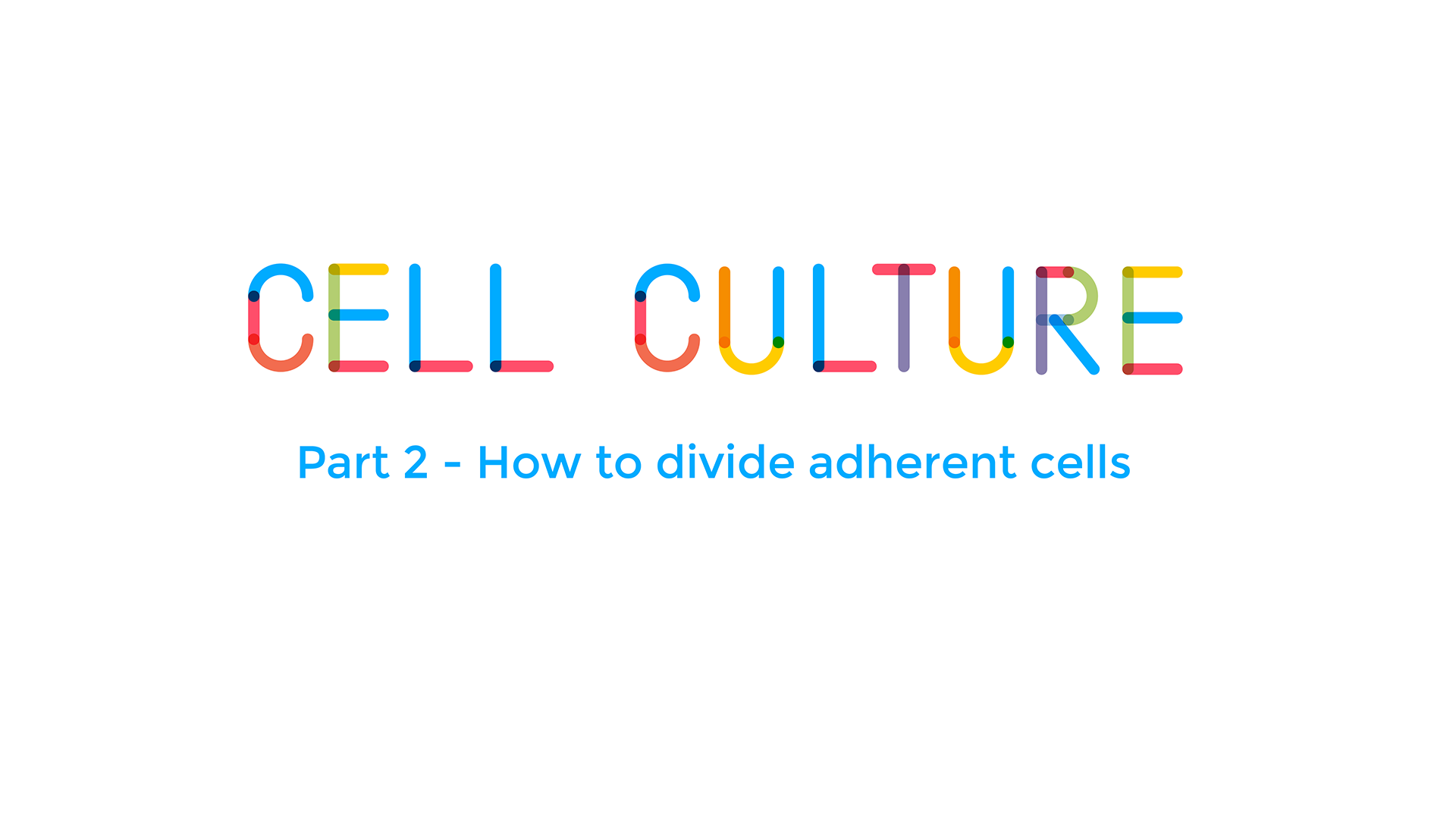 POD - How To Divide Adherent Cells